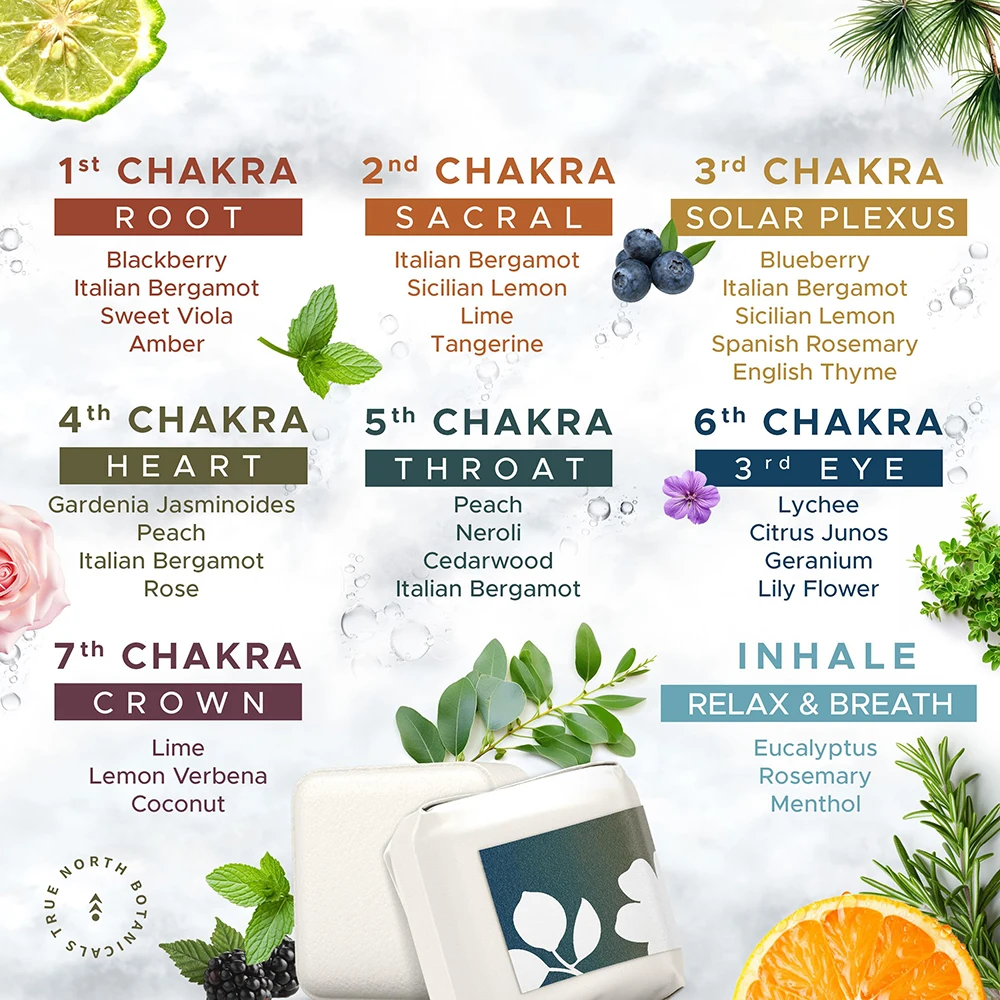 12 Piece Variety Set Swear Shower Steamers Aromatherapy - Buy Oem ...