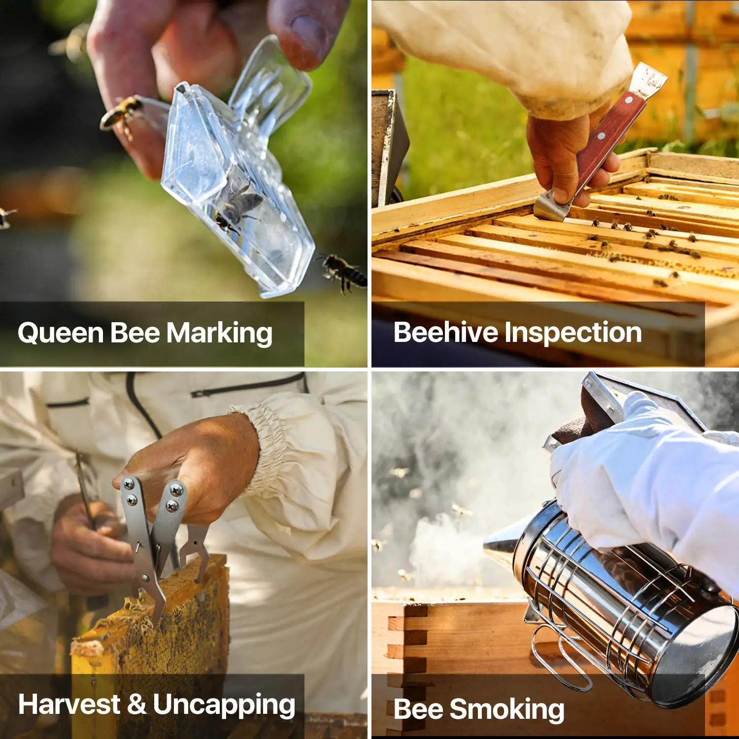 Beekeeping Equipment - Electric Vaporizer for Mite Fumigation