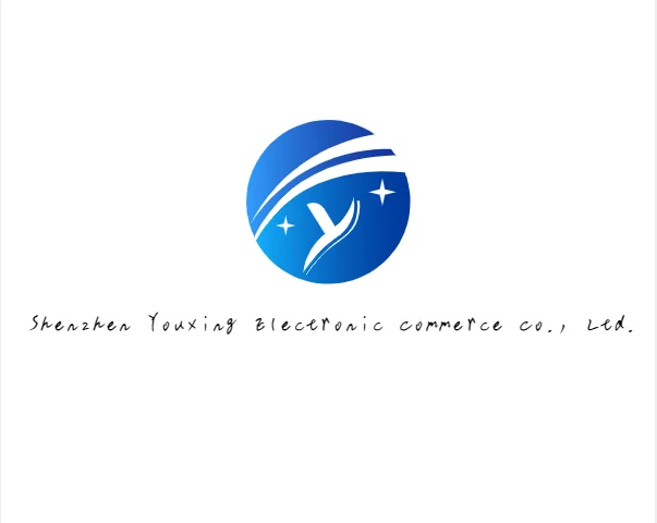 Company Overview - Shenzhen Youxing Electronic Commerce Co., Ltd.