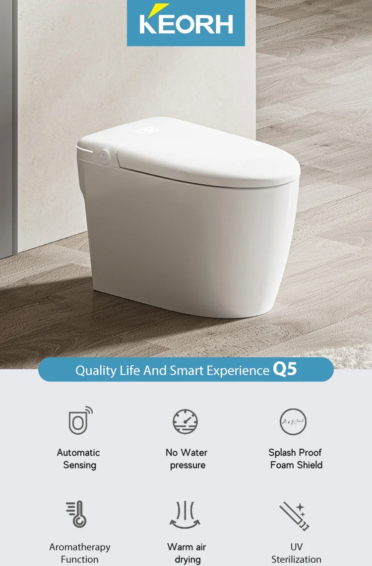 Luxury Fully Intelligent WC Remote Control Smart Water Closet with ...