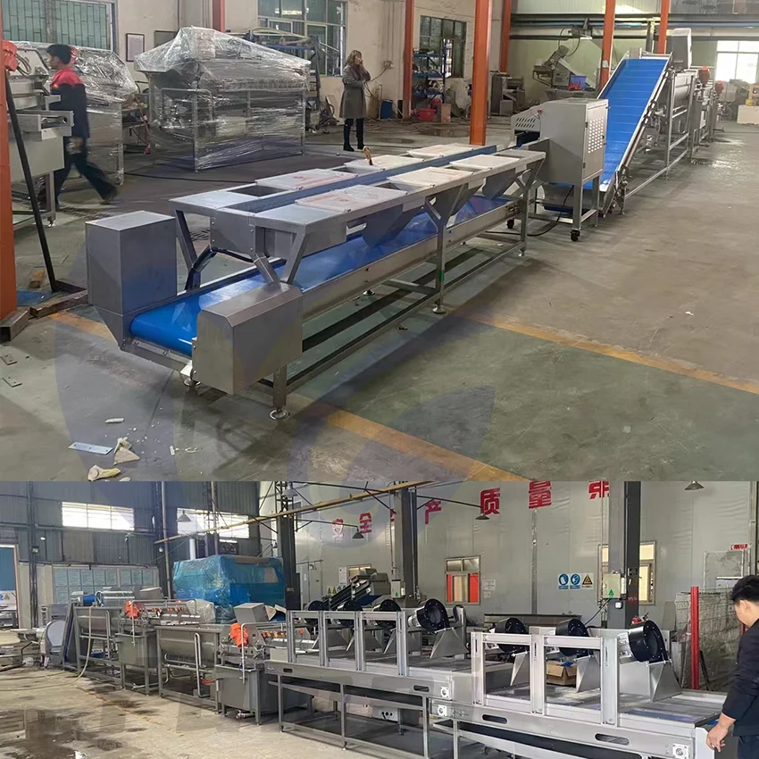 Full Automatic Vegetable Fruit Sorting Cutting Washing Drying Processing Machine Dragon Washing ...