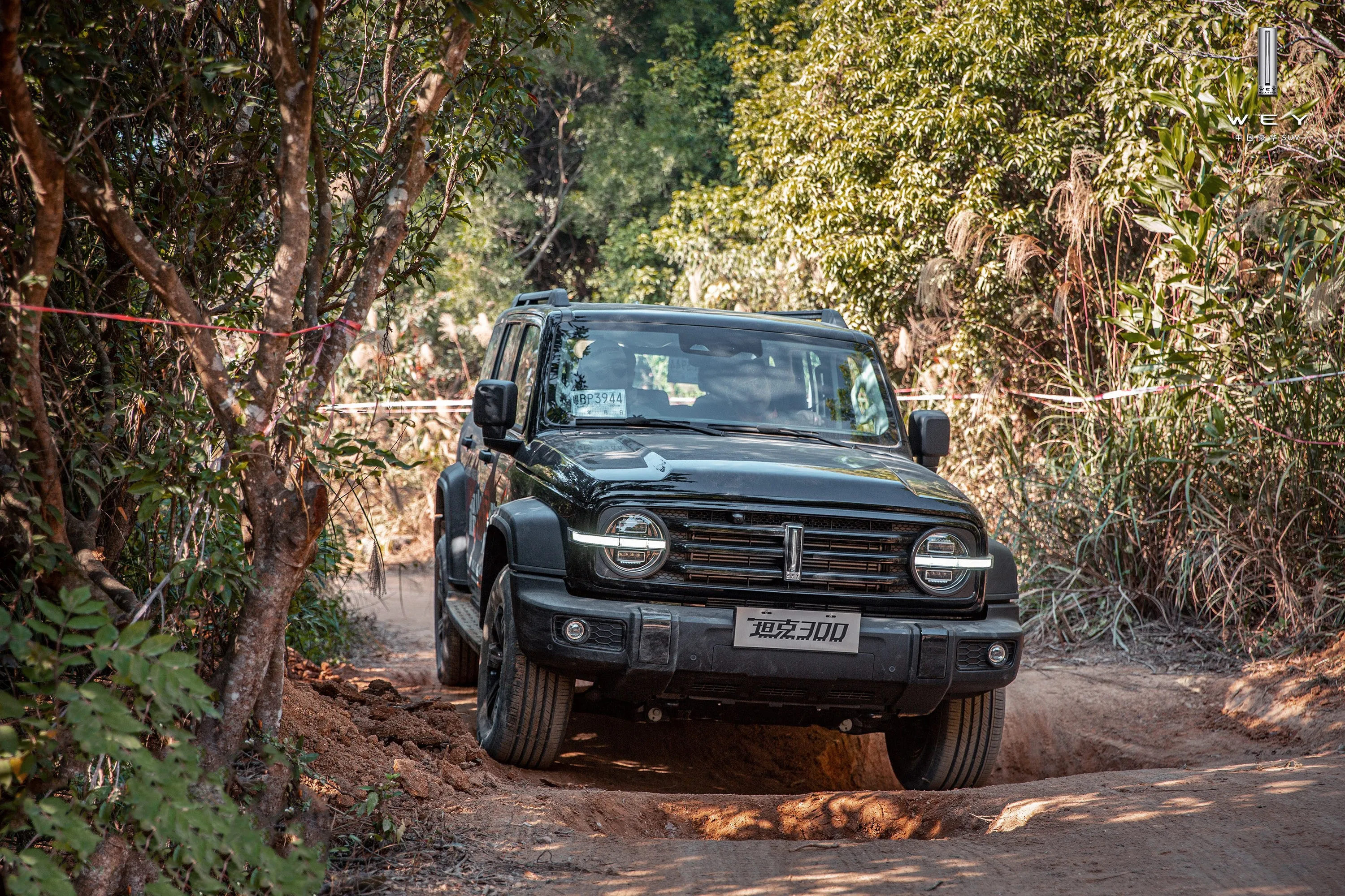 Large Gwm Tank 300 2024 2023 Tank 400 Hybrid Electric Vehicles For ...