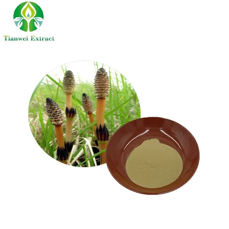 Equisetum Arvense Extract Equisetum Arvense L. Horsetail Extract 7% ...