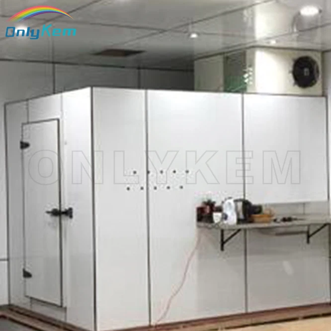 20ft Container Cold Storage/ 40ft Cold Room In Container - Buy ...