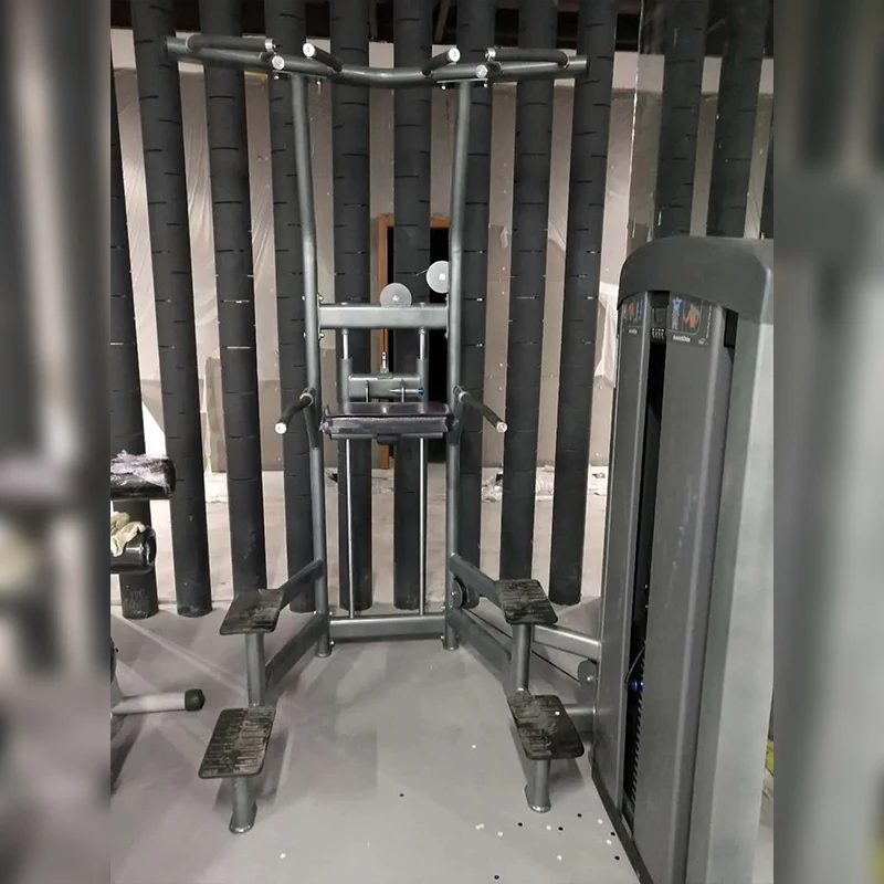 Pin Loaded Strength Training Assist Dip Chin Gym Machine Fitness ...