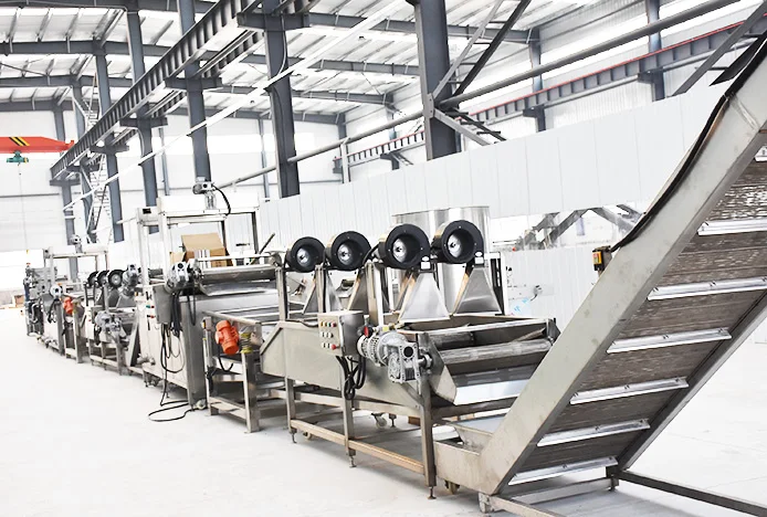 Manufacturing Frying Production Line Fresh Frozen French Fries Sticks