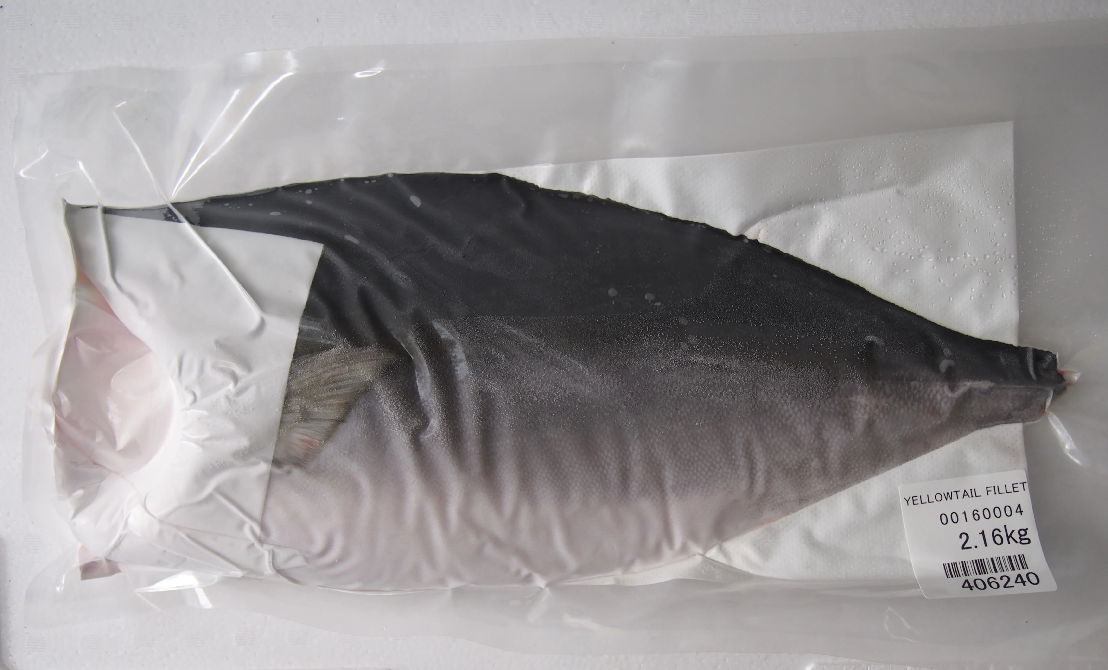 Japanese Frozen Yellow Tail Fillet Seafood Fish - Buy Seafood Fish ...