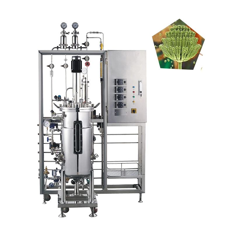 Stainless Steel Bioreactor Cell Culture Bioreactor 50l with SIP and CIP ...