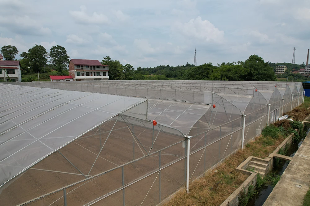 Sawtooth Greenhouse - Efficient Plant House Arch Pipes
