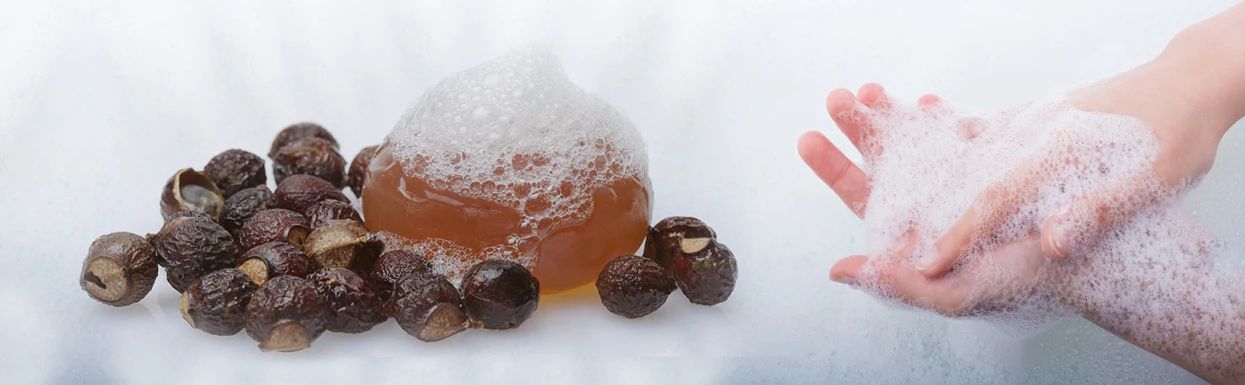 Soapberry Powder - 100% Natural Soapnut Extract for Shampoo