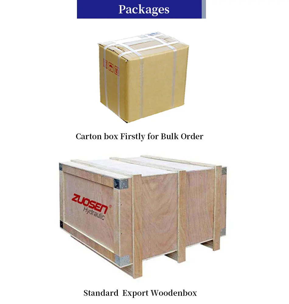 Italy Atos Pfe32 Hydraulic Vane Pump Pfe32036-3dt Pfe32028-3dt Pfe32016 ...