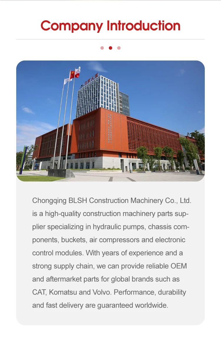 BLSH 378-7718 Запчасти для строительной техники гидравлический насос GP ...