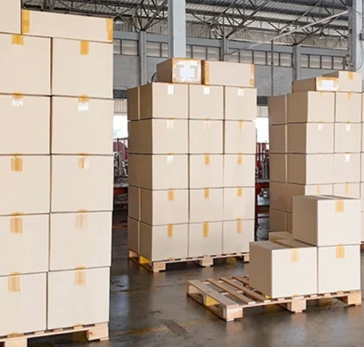 Biodegradable Egg Box Pulp Mold Cartons Cardboard Paper Collecting Tray ...