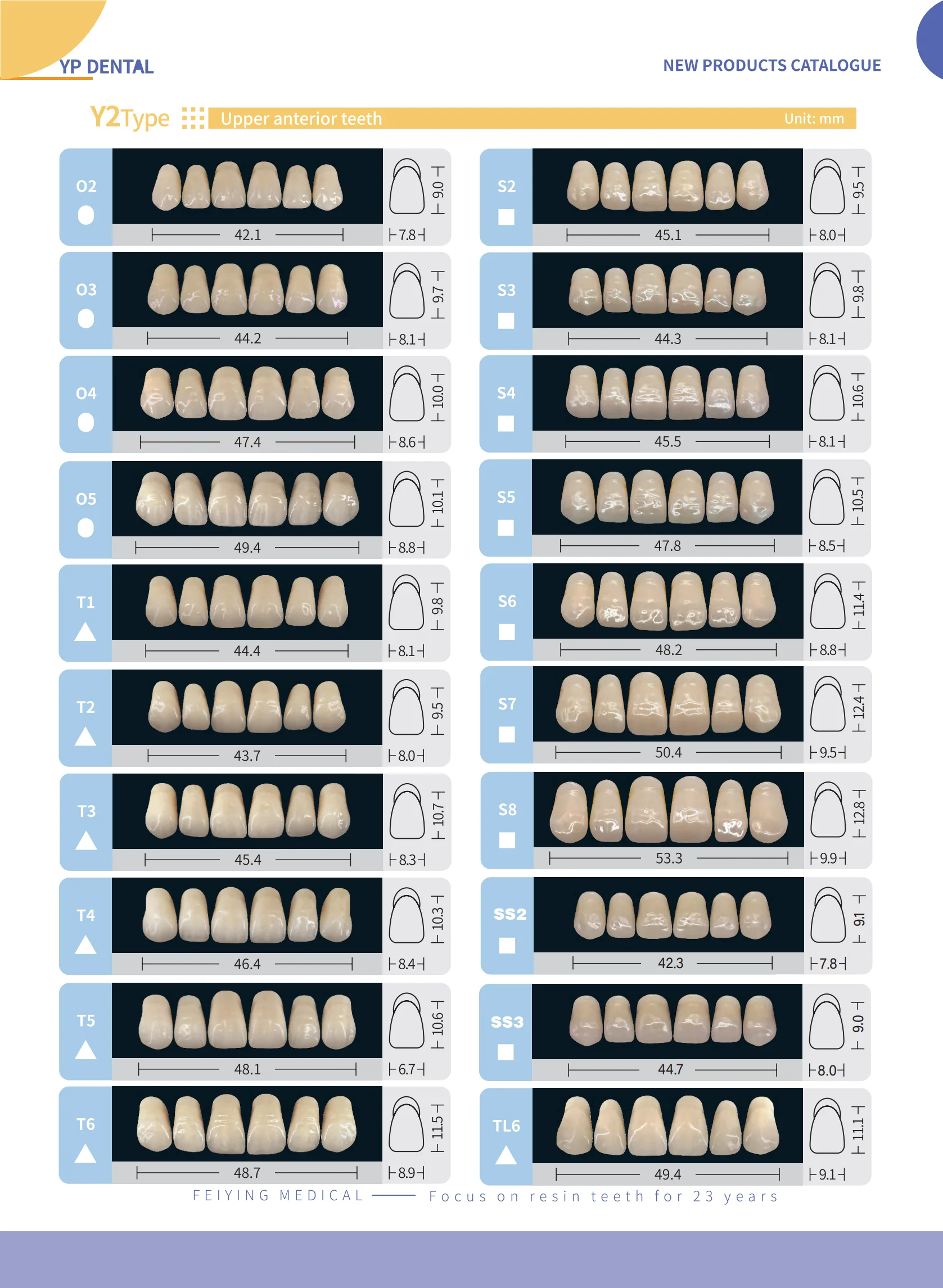 Denture 3 Layer Composite Resin Teeth - YP DENTAL Quality