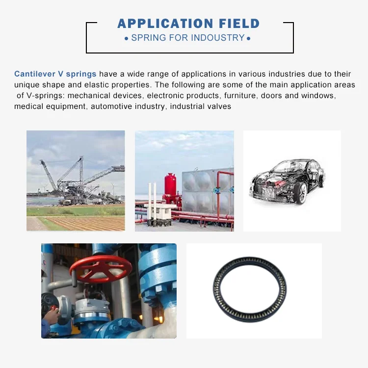 Meander Spring Energized Seal In Aerospace Applications Cantilever V/u ...