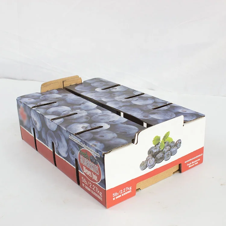 Factory Custom Fruit Blueberry Packing Box 51b - Buy Cherry Packing Box ...