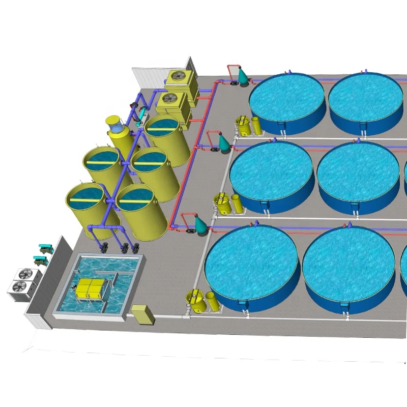 Fresh Water Ras/recirculating Aquaculture System Fish Farming Equipment ...