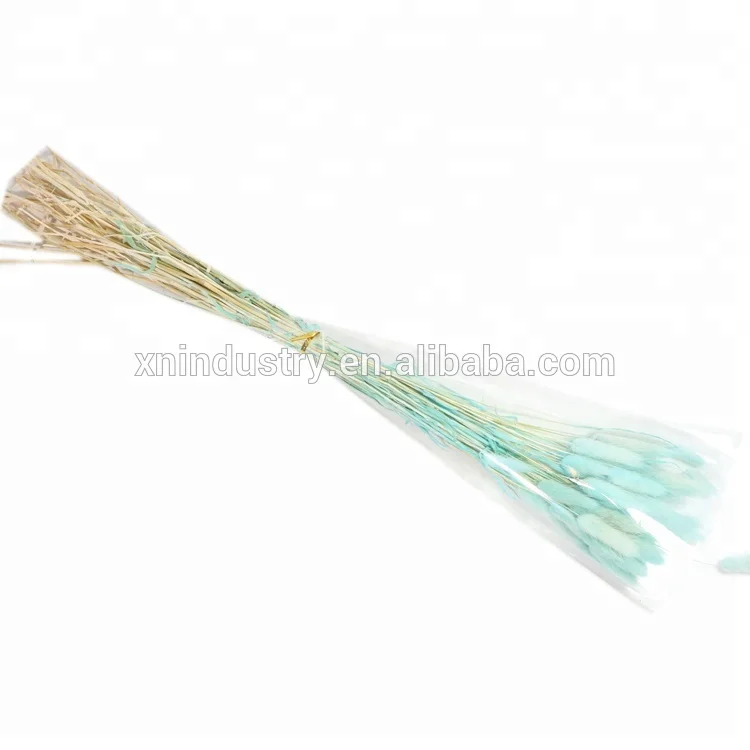 Luxury Home Decoration Bunny Tails Dried Flowers Grass Original Lagurus ...