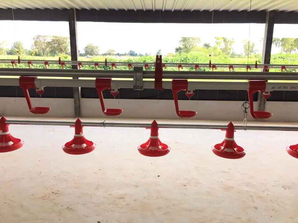 Ziggity Automatic Twin Lock Poultry Nipple Drinker - Efficient Chicken ...