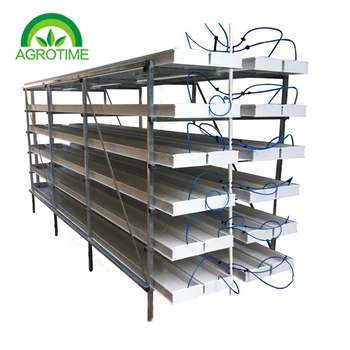 Hydroponic Fodder Growing System/nutritious Sprouted Barley Fodder ...