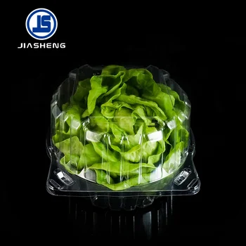 Clear Plastic Clamshell Container For Lettuce - Buy Chinese Supplier ...