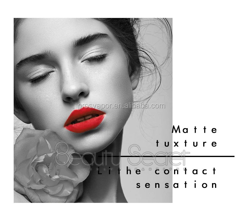 21 Colors Black Velvet Matte Lipstick Private Label Vegan Luxury Waterproof Long Lasting Matte