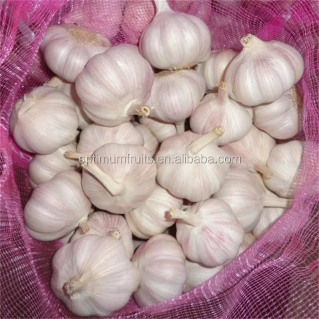 10kg /20kg/1kg Mesh Bag Ajo Loosely Garlic Hot Sale Hdpe Alho Mesh Bags ...