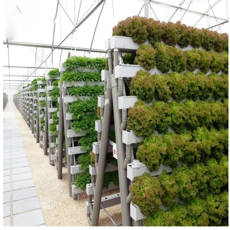 Homemade vertical A-Frame hydroponic system/ indoor hydroponic ...