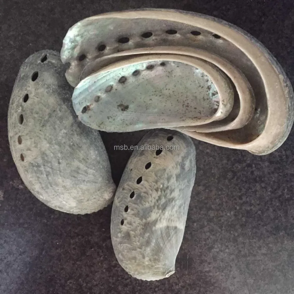 Factory Wholesale Philippines Raw Material Donkey Ear Shell| Alibaba.com