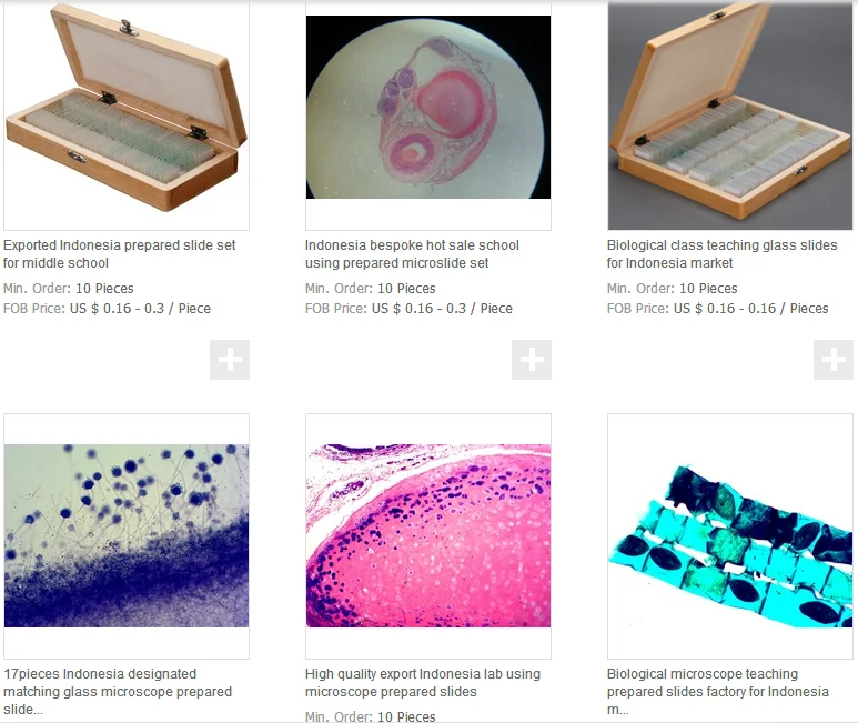 Middle School Biology Microscope Prepared Slides Specimen Spirogyra W.m ...