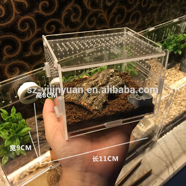Alibaba.com: Acrylic Reptile Display Case with Magnet, Rack for Geckos ...