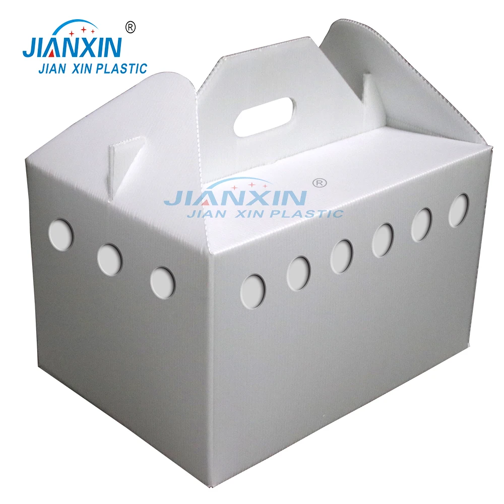 OEM Folding PP Corrugated Plastic Pet Carrier Box| Alibaba.com