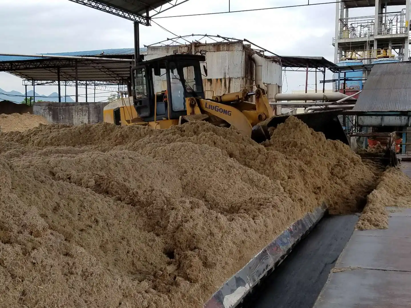 Unbleached Sugar cane Pulp Environmental for making Food Container ...