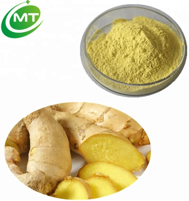 High Quality Ginger Extract Organic Ginger Extract Powder With 5 ...