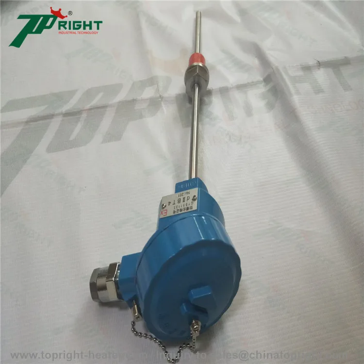 Pt100 Ex-proof Head Probe Sensor - Buy Pt1000 Sensor pt1000 Product on ...
