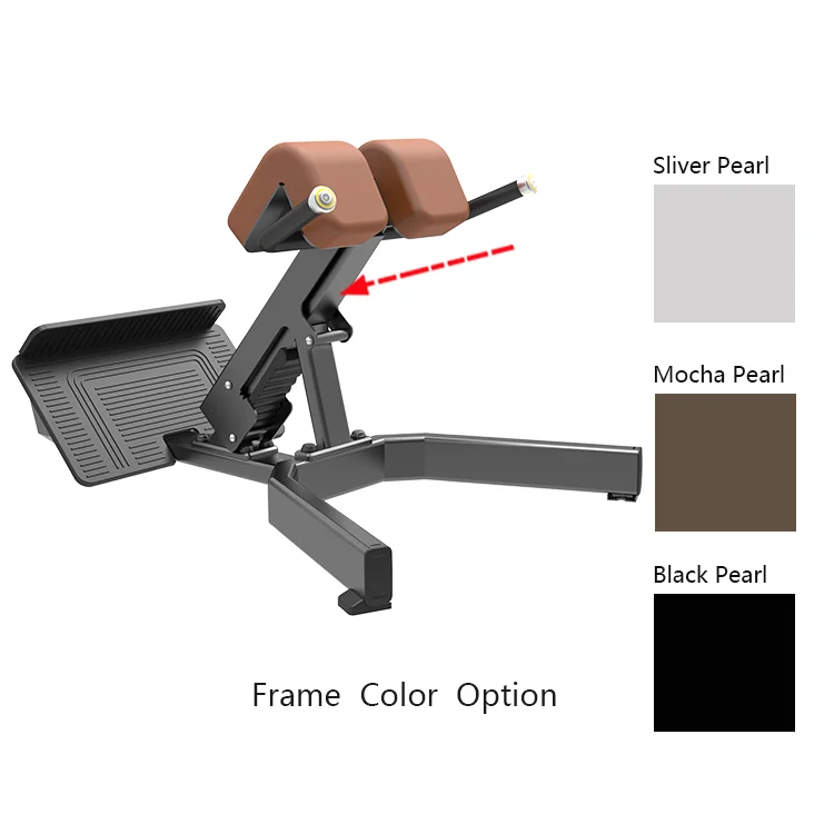 DHZ Gym Equipment E1045 Back Extension - Foldable & Durable