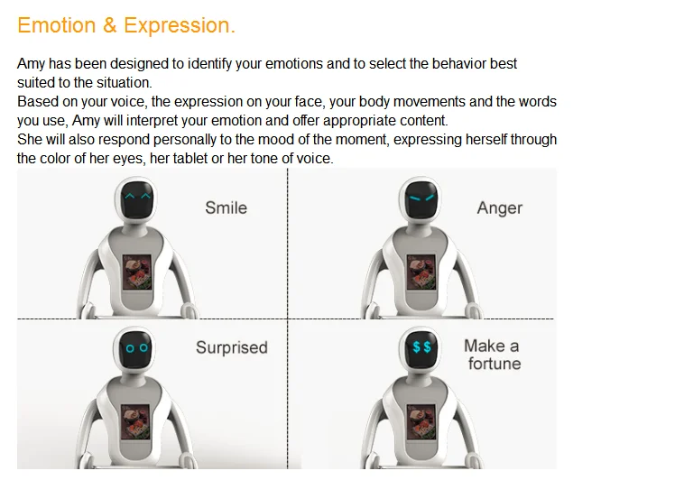 CSJBOT Delivery Robots - Efficient Ai Humanoid Solutions