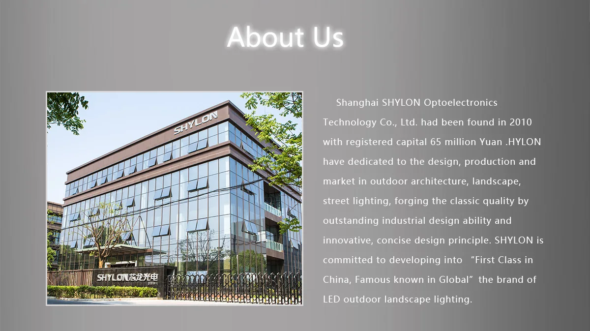 Shylon Lighting Spotlight Outdoor LED Facade Spot Light Small