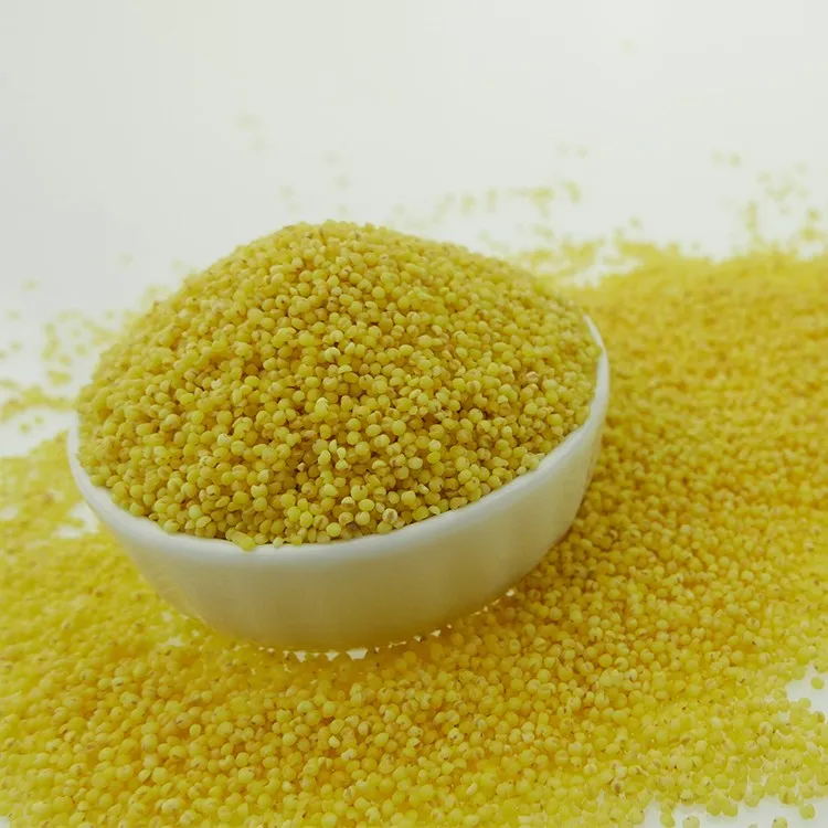 2022 Crop Hulled Yellow Glutinous Millet Sticky Millet - Buy High ...