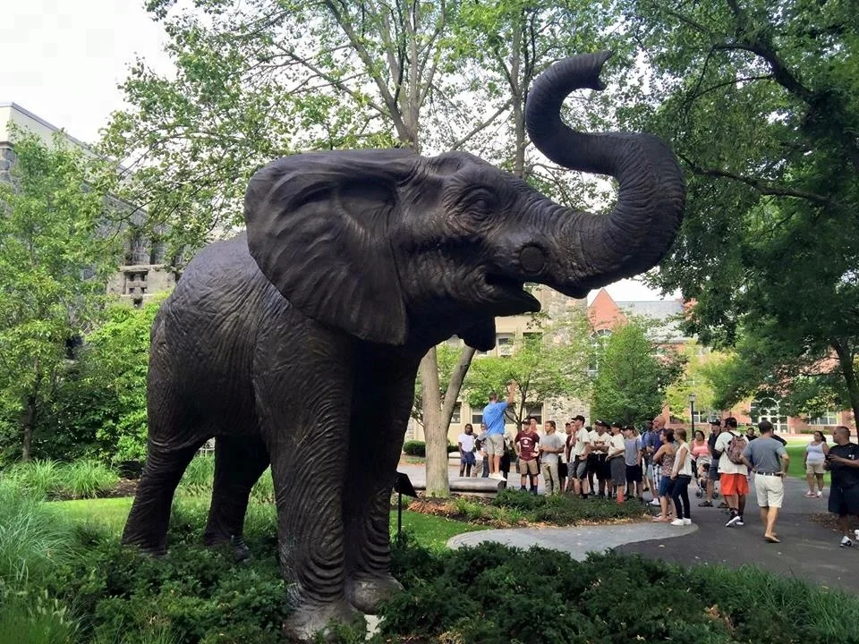 Outdoor Large Resin Elephant Statues - Life Size Art