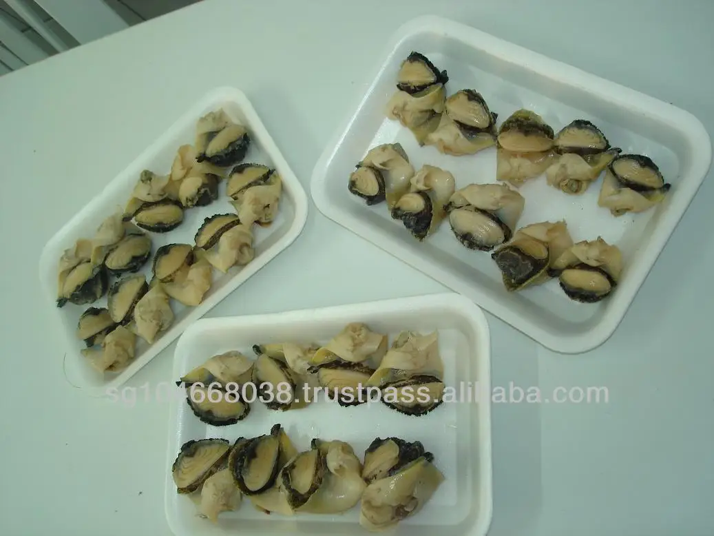 Frozen Cooked Whelk Meat - HACCP Certified Shellfish