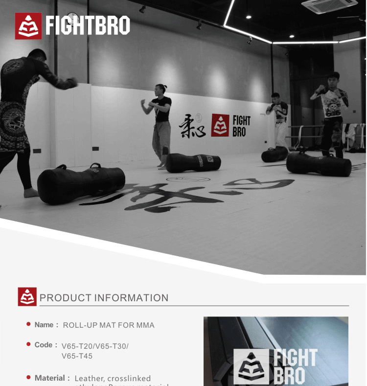 FightBro High Density Anti-Tear Gymnastics Gym Folding Exercise ...