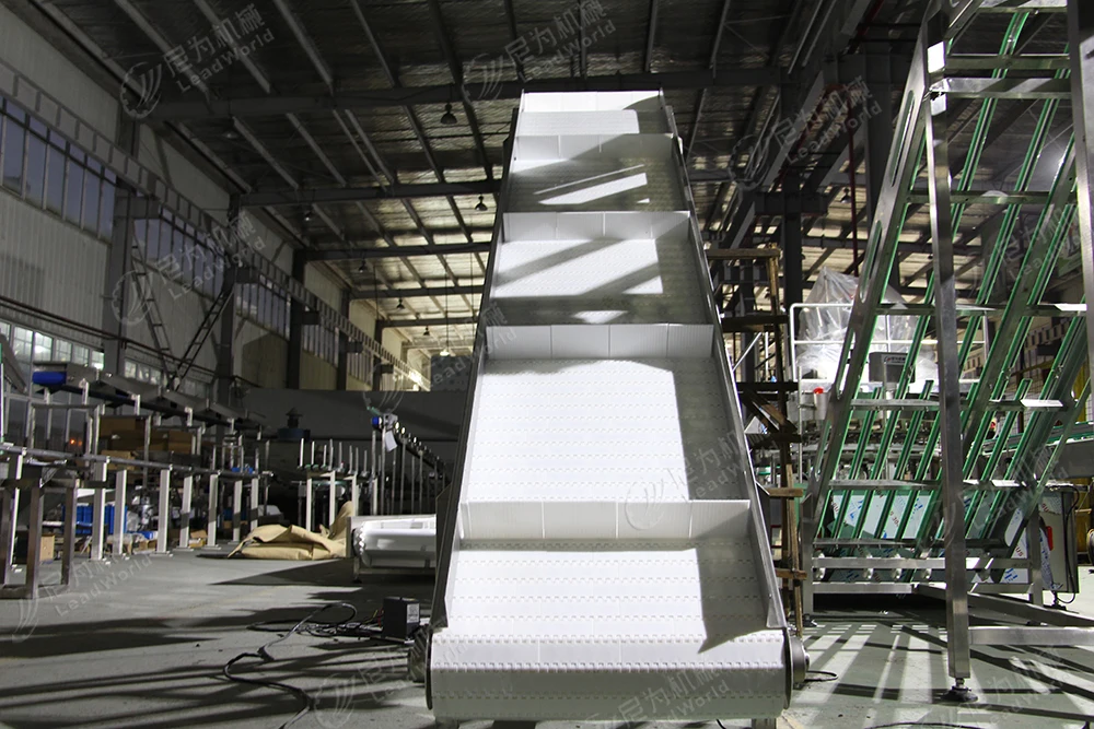 Leadworld Assembly Line Equipment - Z Type Bucket Conveyor