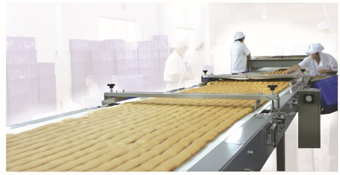 Soft Biscuits Cookies Penny Stacker - Efficient & Reliable