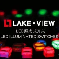 Company Overview - Shenzhen Lakeview Electronics Co., Ltd.