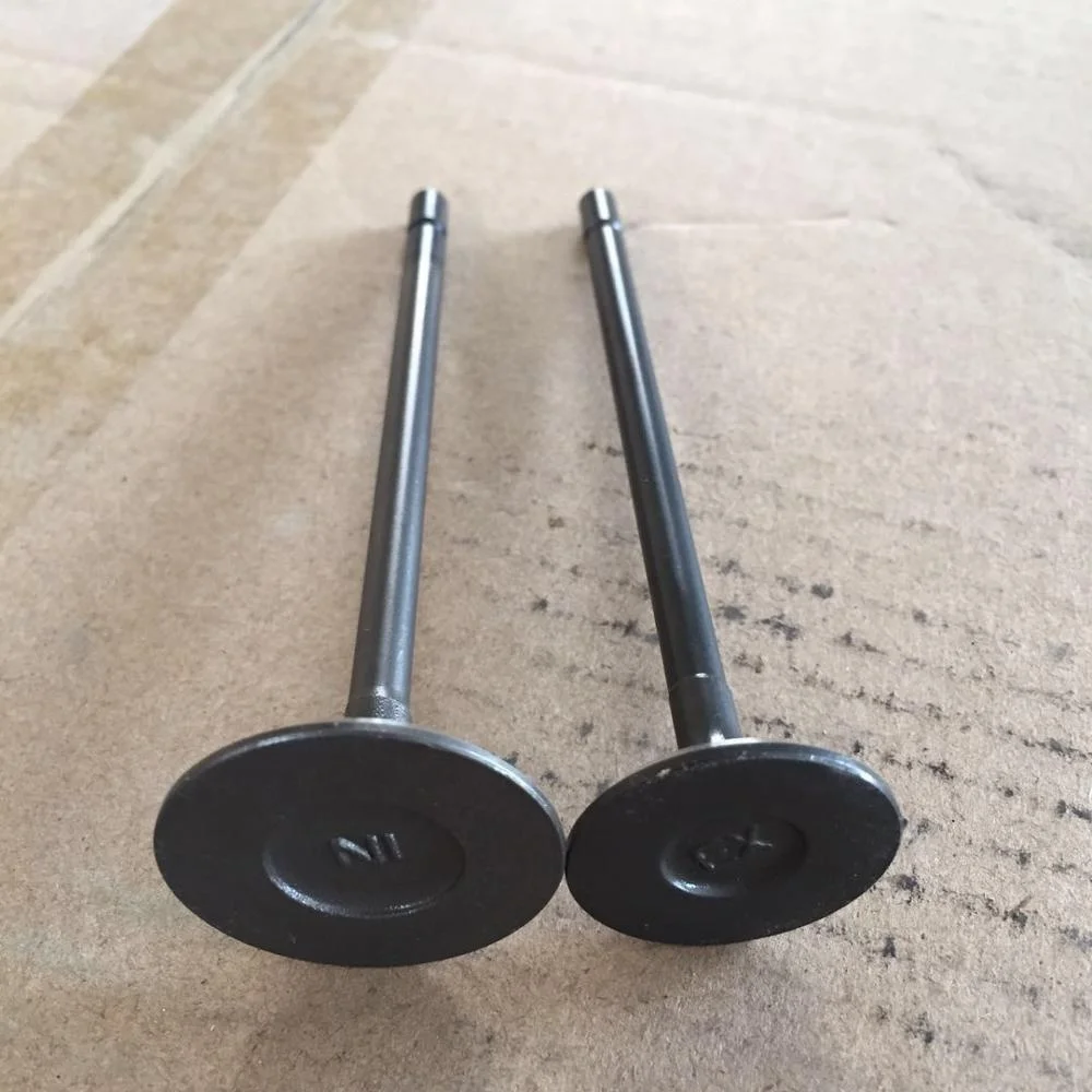 Engine Valve Parts for K4M K4J OEM 7701471379 7701471378