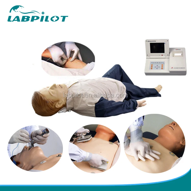Alibaba.com: Labpilot LP/ALS10750+ ACLS Training Manikin, Human Life ...