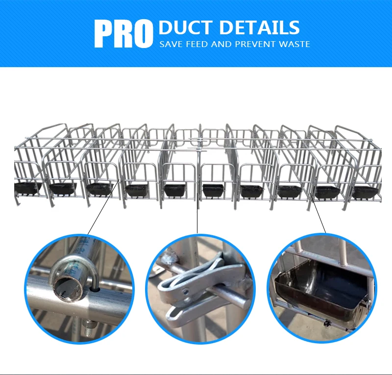 Fattening Pig Stalls - Durable and Efficient Solutions