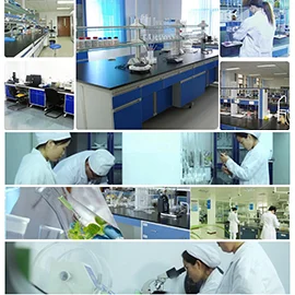 Company Overview - Shaanxi Undersun Biomedtech Co., Ltd.