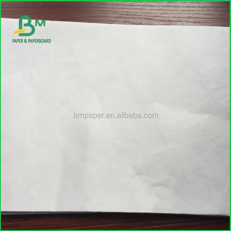 1025D Tyvek Paper - Durable, Waterproof, and Printable
